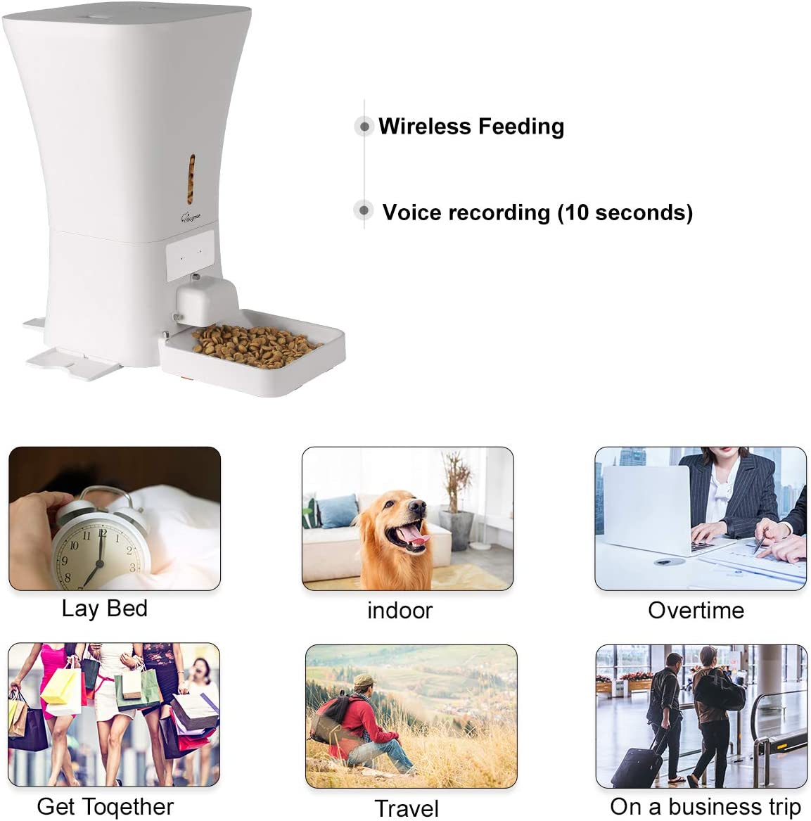 SKYMEE 8L Automatic Cat Feeders,2.4G Wifi Enable Cat Food for Cats and Dogs with | eBay Australia