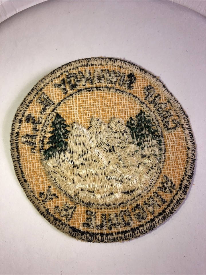 Vintage Boy Scout Siwanoy BSA Wingdale NY New York Camp Siwandy Patch ...