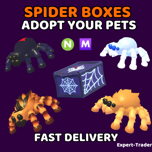 Adopt Your Pets - Spider Boxes, Black Widow, Chilling Spider - Fast Delivery | eBay