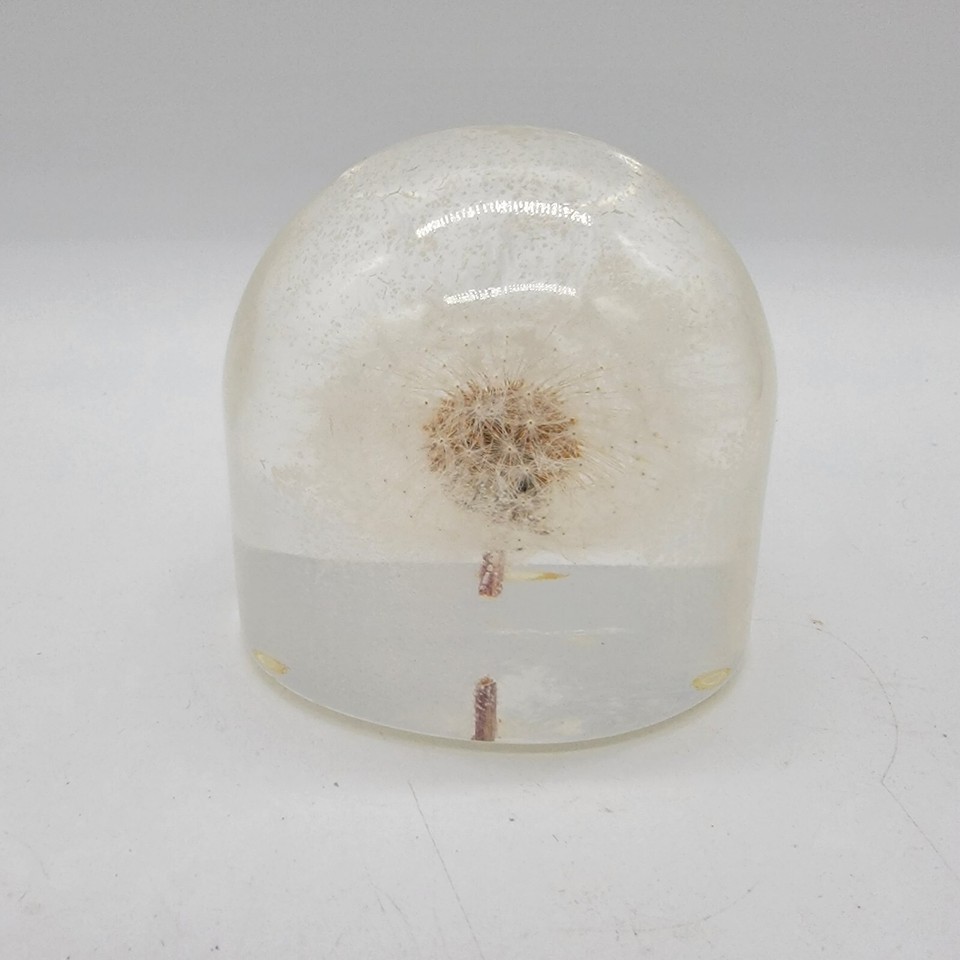 Vintage Lucite Dandelion Paperweight Signed W. Rolfe | eBay