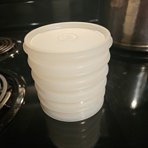 VTG Lot Of 5 Tupperware Hamburger Patty Keepers 882-43 W/Clear Lid ...