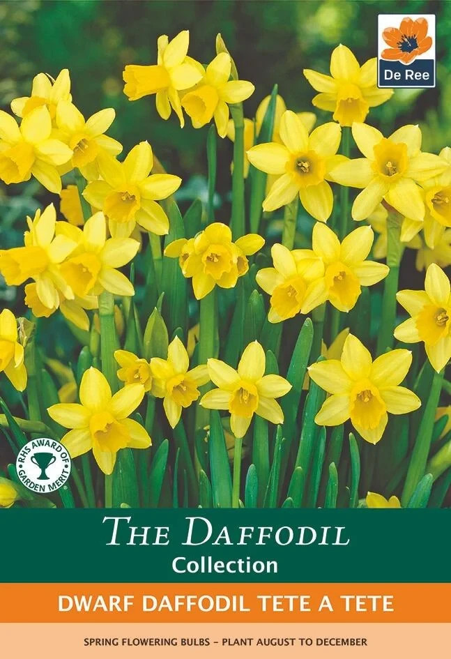 Daffodil Spring Bulb Mix - Tall, Dwarf or Mixed Blubs Flowering ...