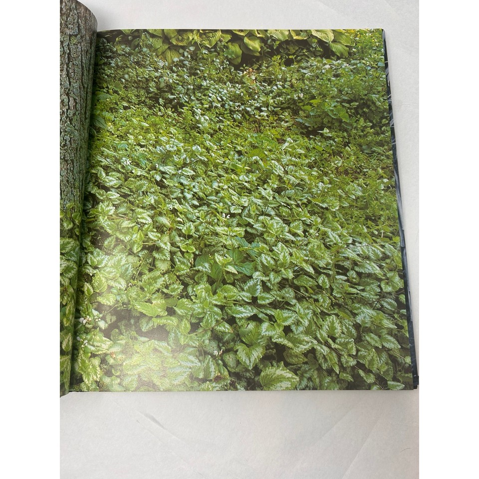 Dramatic Effects with Architectural Plants by Noël Kingsbury Hardcover ...