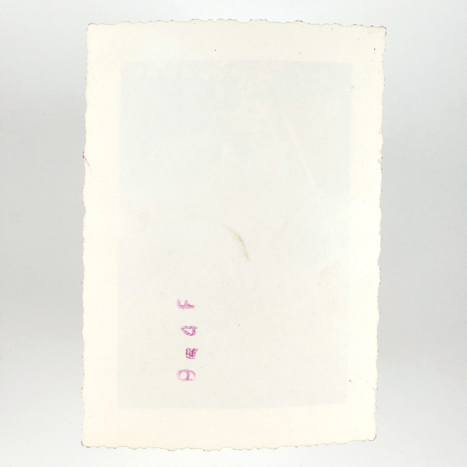 Woman Gardening in Her Swimsuit Photo 1950s Backyard Beauty Rake ...