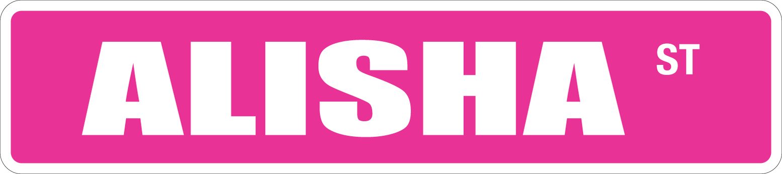 *Aluminum* Alisha 4" x 18" Metal Novelty Street Sign SS 234 | eBay