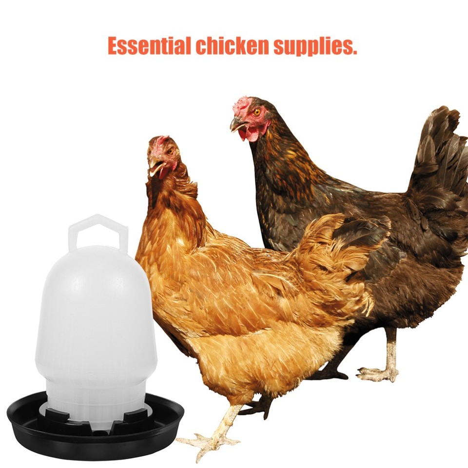 2× Chicken Water Feeder Poultry Water Dispenser Chick Water Dispenser ...