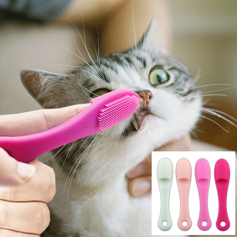 1XPet Silicone Cleaning Brush Cat Chin Blackhead Dog Teeth Tongue ...