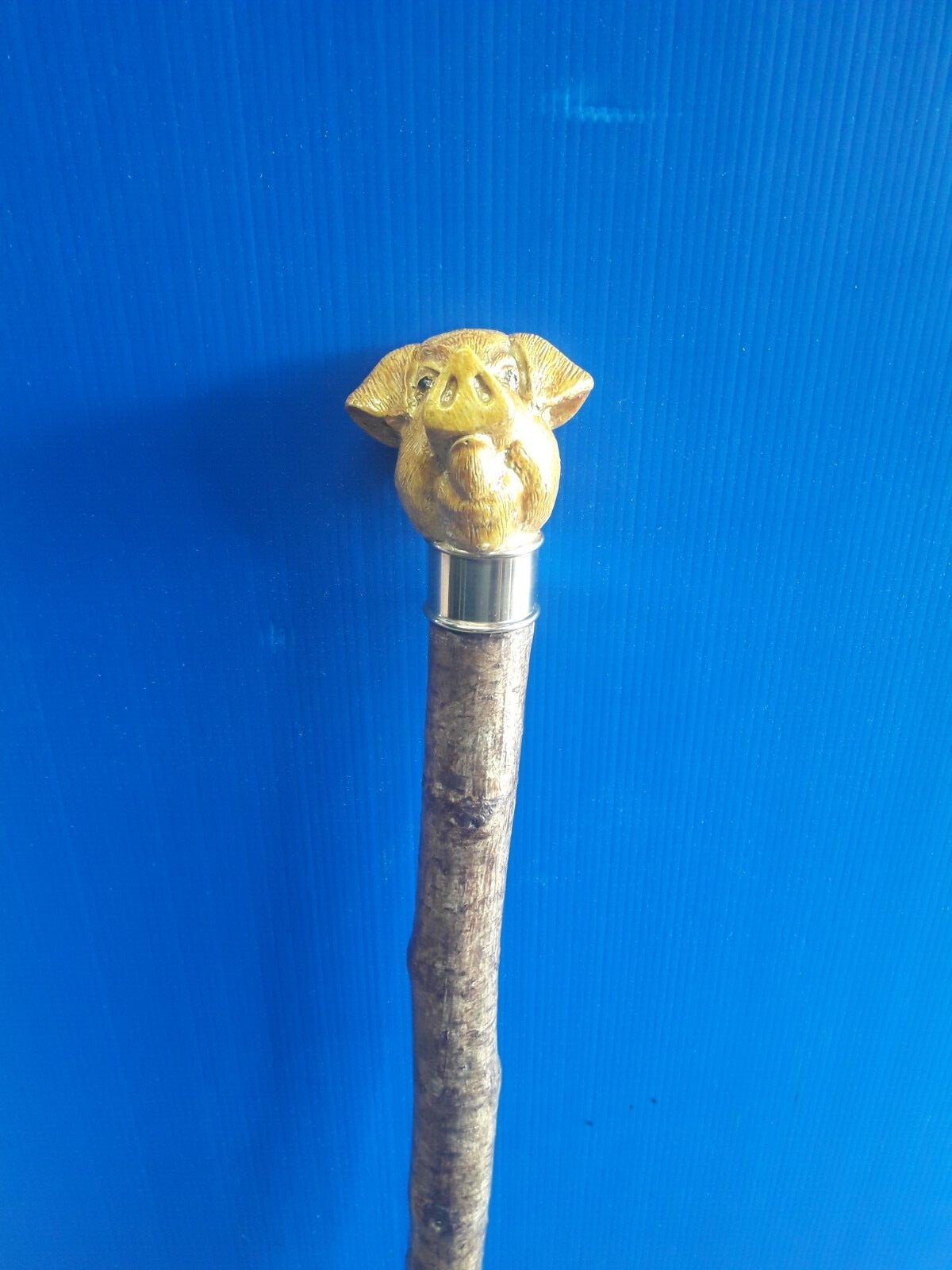 THE PIG STICK LARGE STICK ? RESIN PIGS HEAD HANDLE 109cmTHICK HAZEL ...