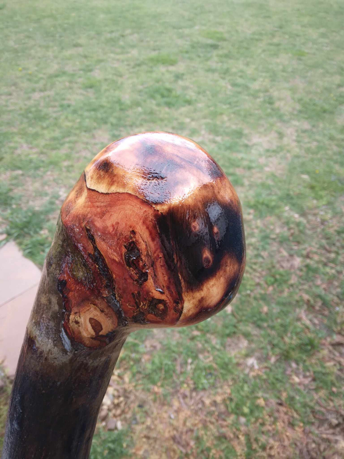 Hickory wood root burl ball fish tire knocker shillelagh cudgel warclub ...