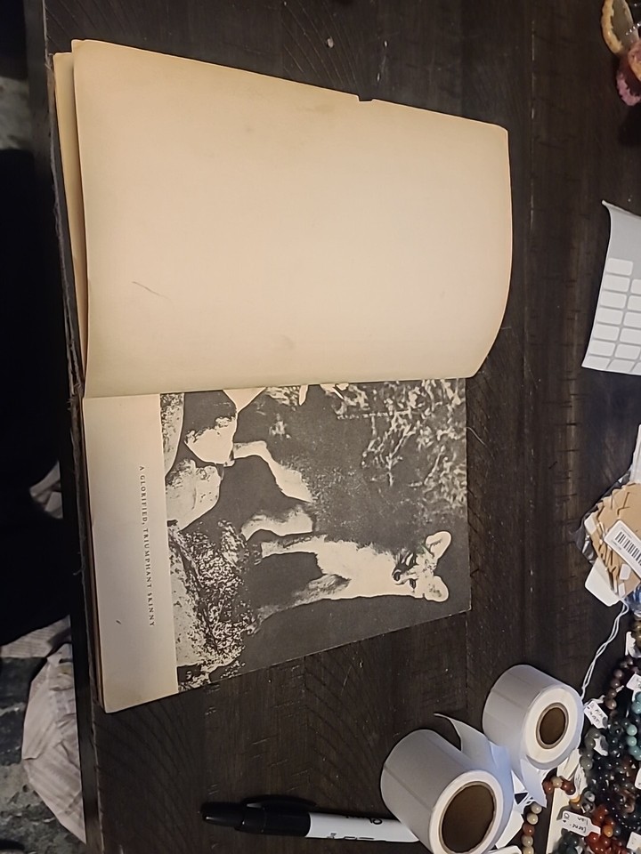 Skinny The Gray Fox - Agnes Akin Atkinson (Hardcover, 1936) | eBay