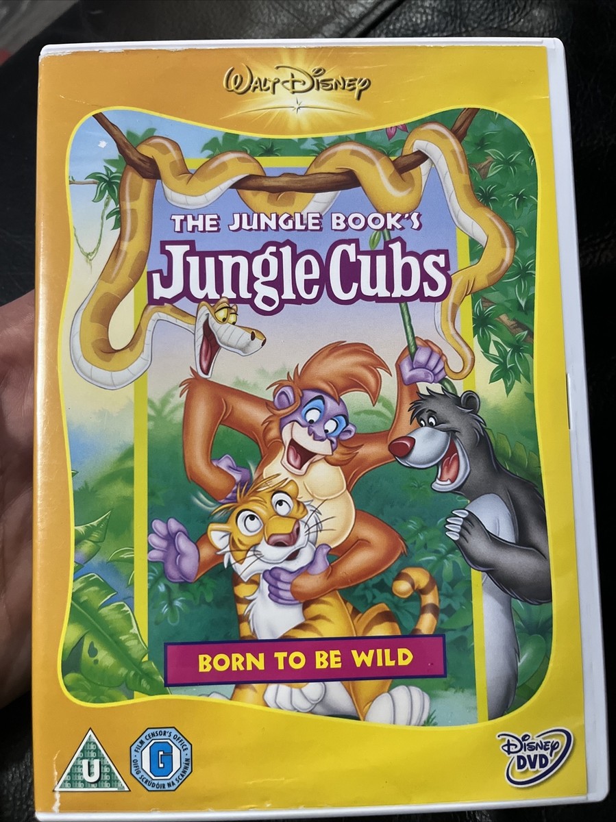 Jungle Cubs Quotes Travellers Co | Ever Wondered What Tigers Do When