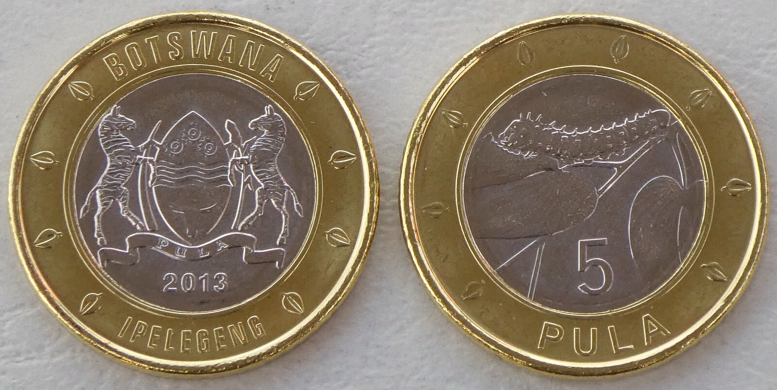 Botswana 5 Pula Moneta IN Corso 2013 Bruco Km#37 non circolato | eBay