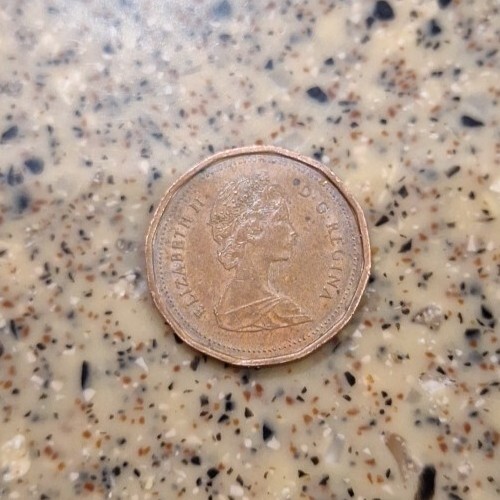 Circulated 1986 Canadian One Cent Piece (Penny) Elizabeth II D.G.Regina ...