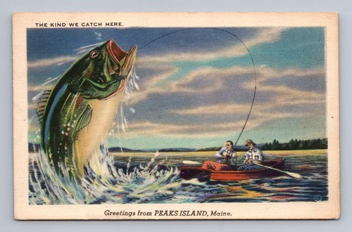 Peaks Island Maine "The Kind We Catch Here" Fishing Exaggeration Inland ...