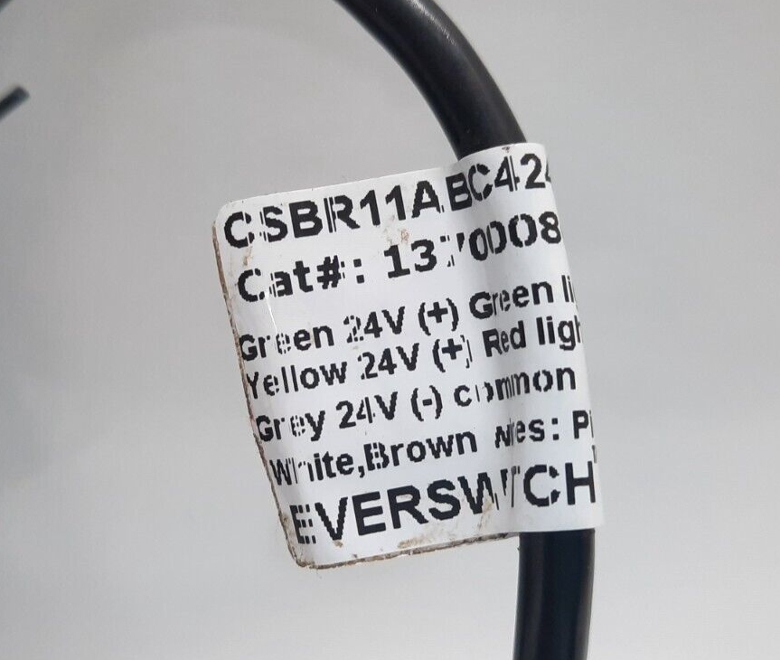 EVERSWITCH CSBR11ABC4242N LED G/R 24V 13700086 / LOT OF 2 | eBay