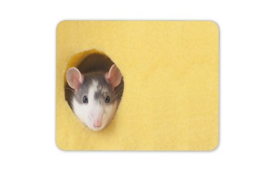 Cheeky Fancy Rat Mouse Mat Pad - Pet Rodent Animal Cute Fun Computer ...