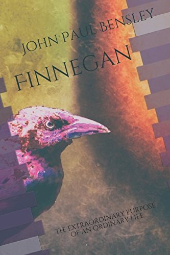 FINNEGAN By John Paul Bensley **BRAND NEW** 9780999126400 | eBay