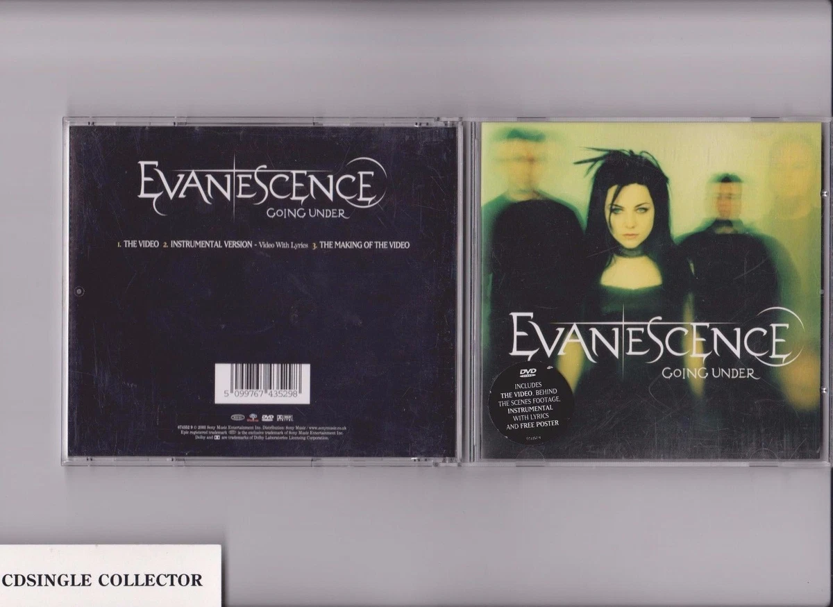 Evanescence Going Under Lyrics