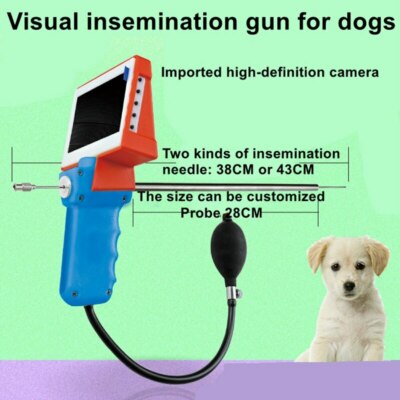 Visual insemination gun vas deferens canine artificial insemination ...
