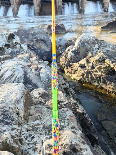 7'6" Mad Catz Catfish Med Heavy Casting Fishing Rod 1PC ~ Aluminum Reel ...