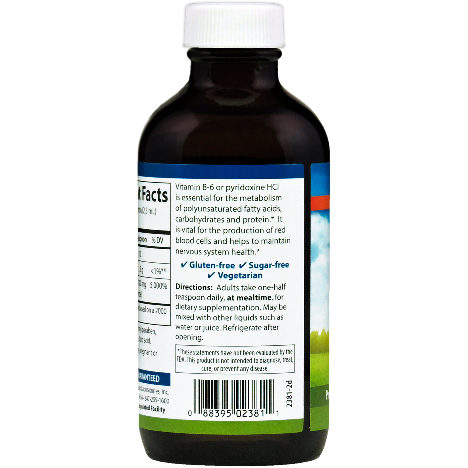 Carlson Labs B-6 Liquid 4 fl oz 120 ml Gluten-Free, Milk-Free, Soy-Free ...