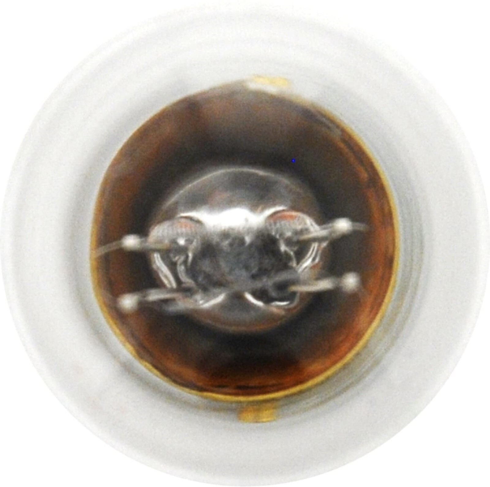 Philips LongerLife 2397 28/6.7W Two Bulbs Stop Brake Light Replacement ...