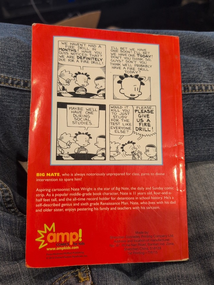 Big Nate Dibs on This Chair Lincoln Peirce Book 1st Printing 2015 ...