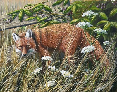 Contemporary Wildlife Painting Fox at the Meadows Edge 1994 by Mark ...
