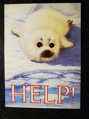 "Help" for seals Postcard save the seals wildlife North pole Design Jon ...