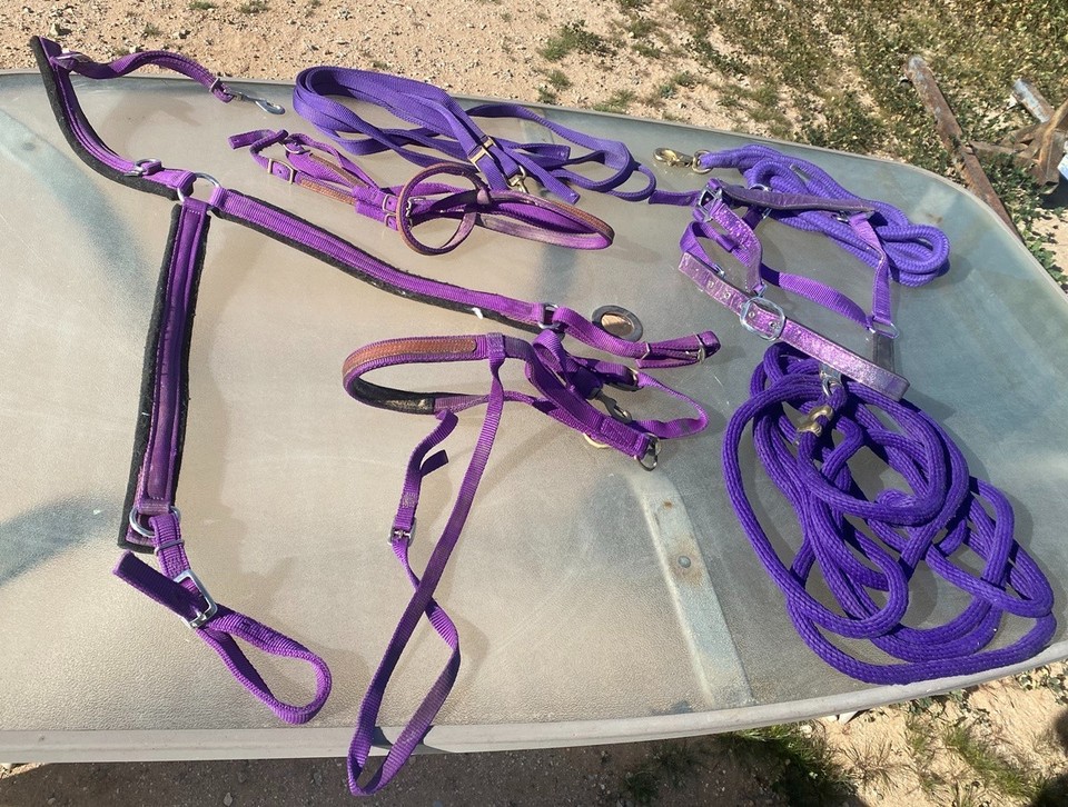 PURPLE Tack LOT Halter Lead - Weaver Headstall & Breast Collar Lounge ...