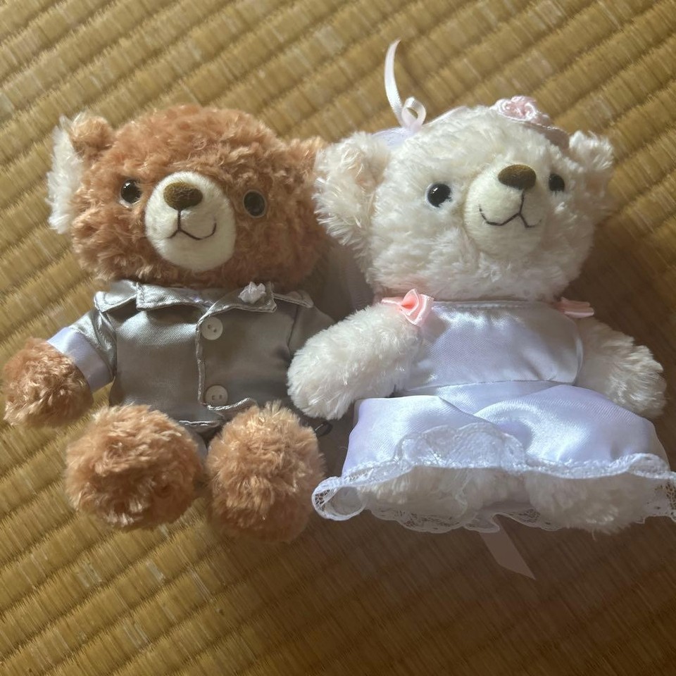Wedding Stuffed Animal Set Bear Dress Suit Plush Brown White Couple ...