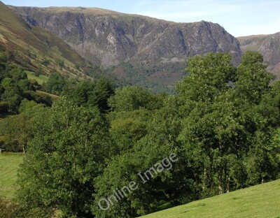 Photo 6x4 Trees in Cwm Cywarch Aber-Cywarch A feature of the cwm is the ...