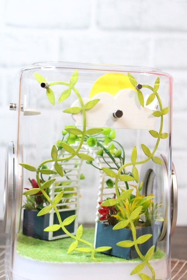 Jumping Spider Enclosure, Insect Terrarium, Bug Enclosure, Spider Cage ...