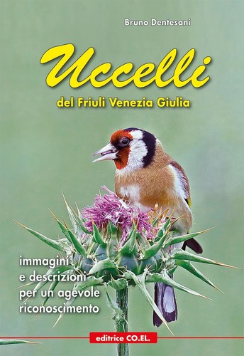 Libri Bruno Dentesani - Uccelli Del Friuli Venezia Giulia. Immagini E ...