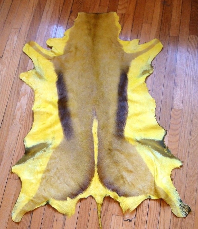 Dyed African Deer Skin Assorted dyed colors African springbok antelope ...