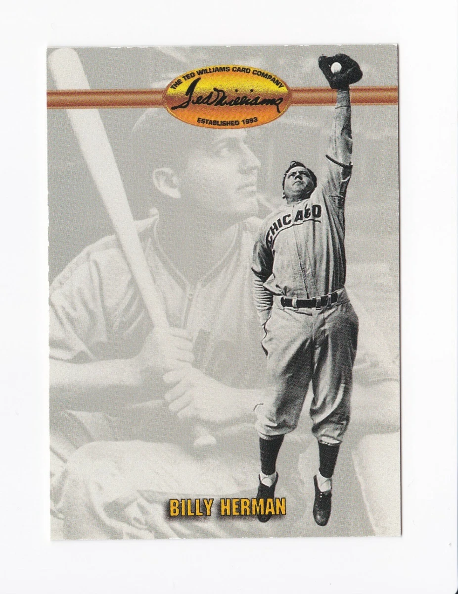 Ted Williams Baseball Card Stats