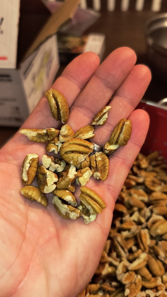 South GA Sumner PECANS PIECES Raw no shell 5 pounds | eBay