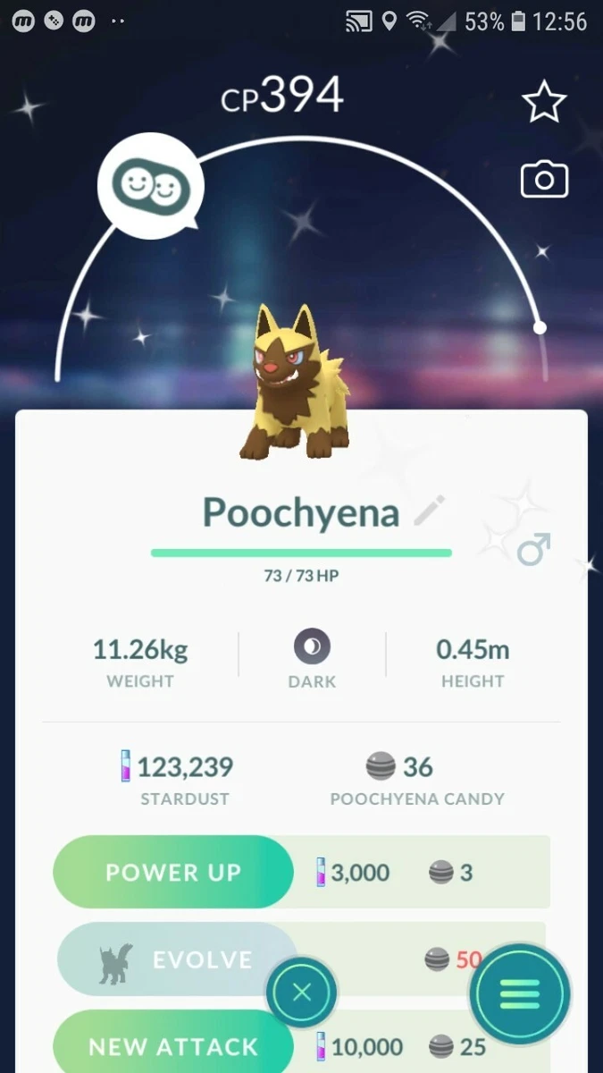 Pokemon Poochyena Shiny