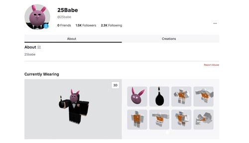 Rare! Roblox Account User [25babe] Join Date 2008 (Id 274,145) | eBay