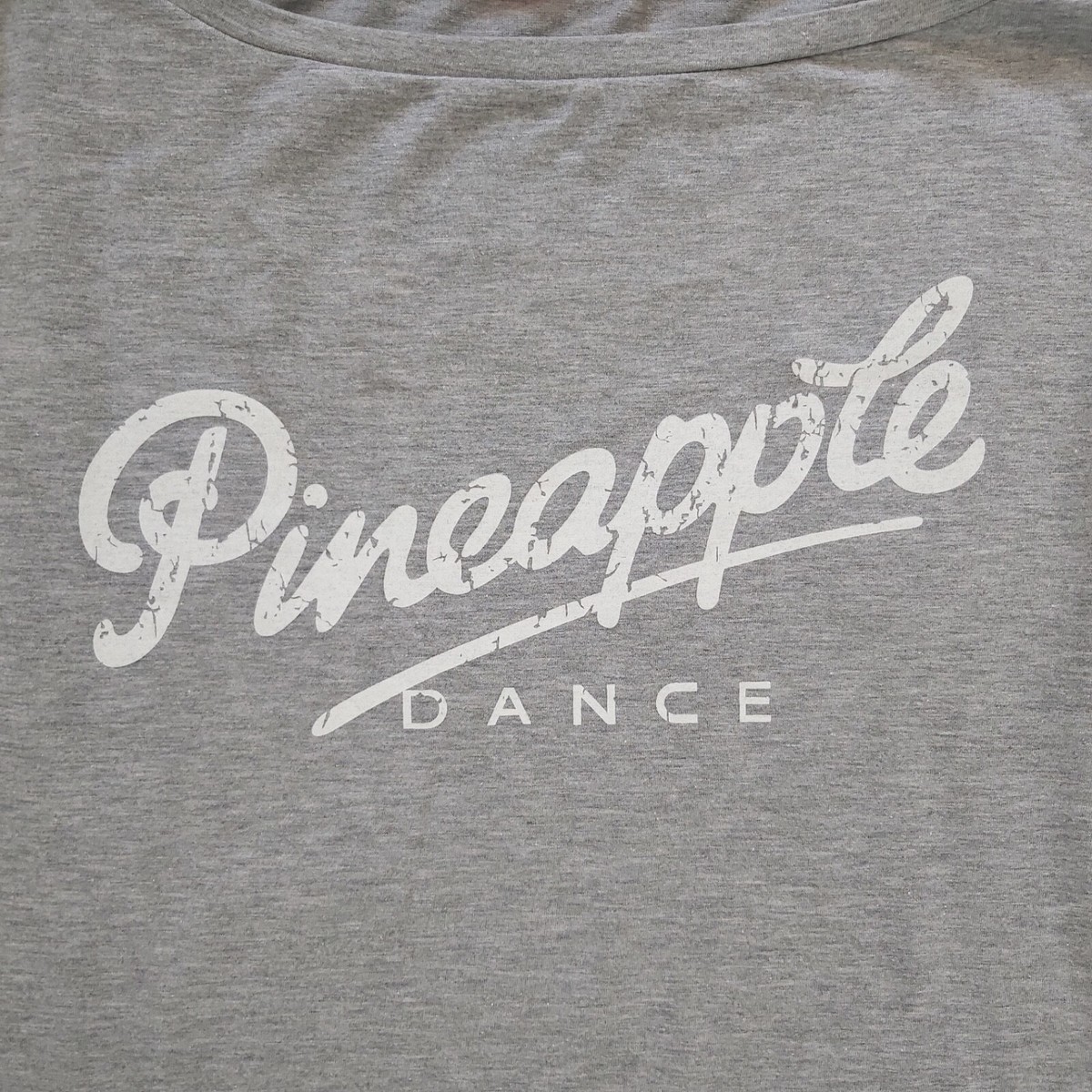 Pineapple Dance Logo Pineapple Dance Studios Case Studies