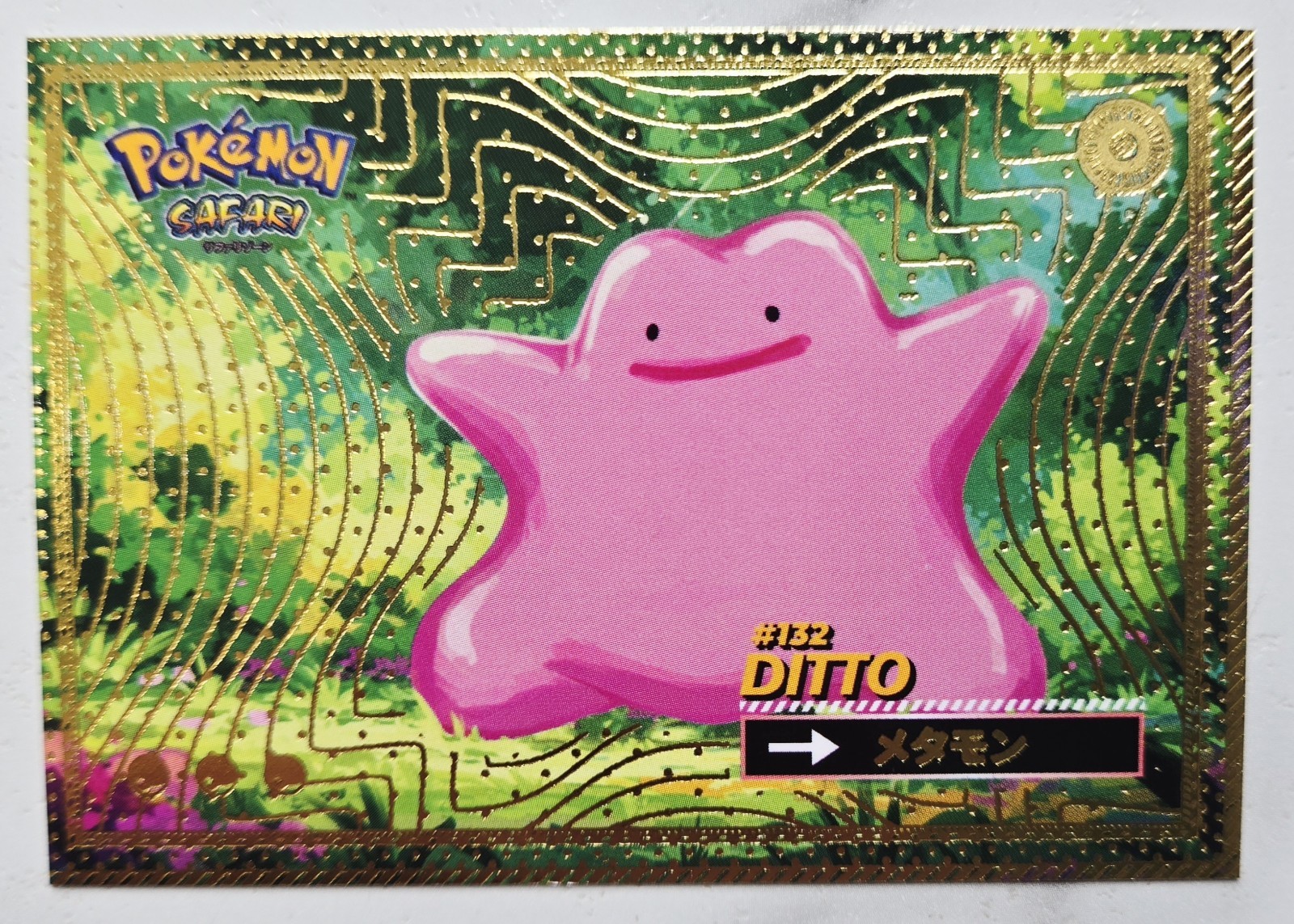 Ditto - Gold Holo Box Hit - Flash Edition Safari 2025 - Pokemon Card | eBay