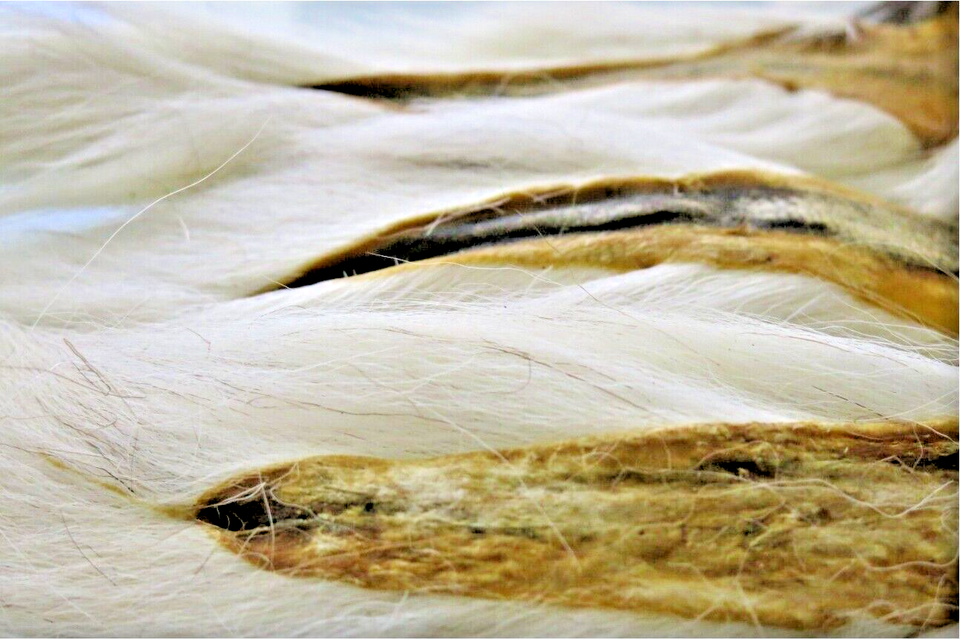 SupplyIt 3 Large Northern Bucktail Natural White Fly Tying Material ...