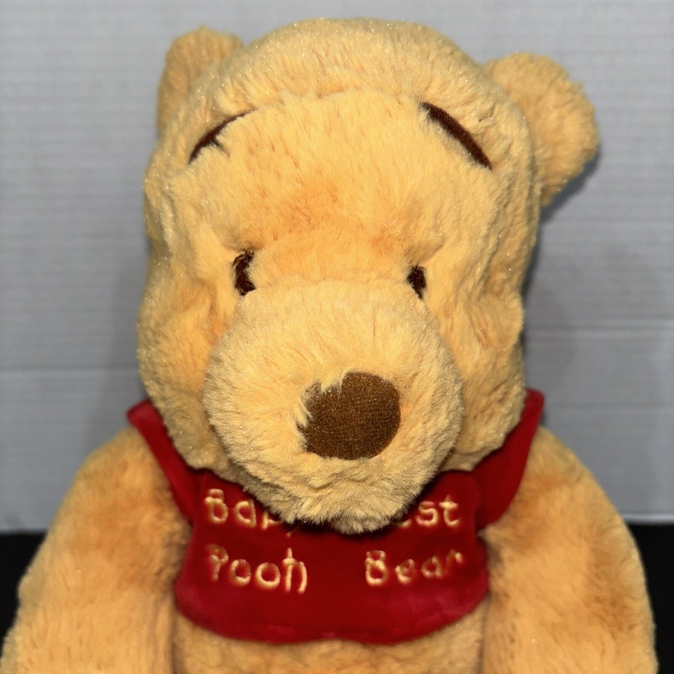 Disney Baby Baby’s 1st Pooh Bear Super Soft Rattle In Belly 12” | eBay