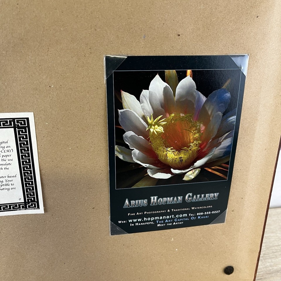 Arius Hopman Haualei Sunset 3 Hawaii Giclee Photo Art COA | eBay