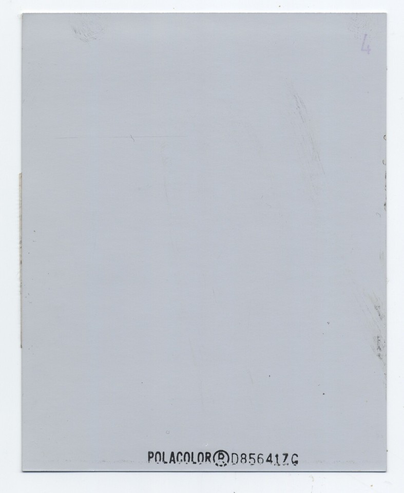 Vintage '80s Polaroid Polacolor Photo - Girl Black Hair Nude 1136 | eBay