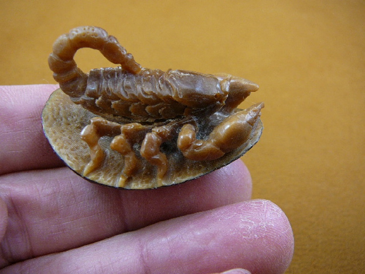 (tb-scorp-1) little tan scorpion Tagua NUT palm figurine Bali Scorpions ...