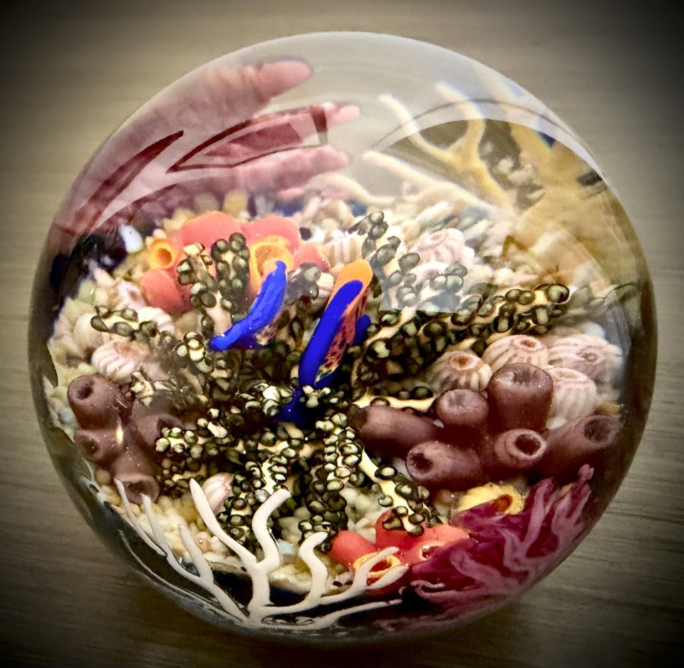 Cathy Richardson 2004 Tropical Fish Sea Anemone Coral Reef Paperweight ...