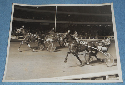 1980 Harness Racing Press Photo Horse Three Times One Russell Rash ...