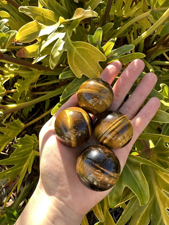 Natural Tiger Eye Sphere Tiger Eye Sphere WITH Ring Stand | eBay
