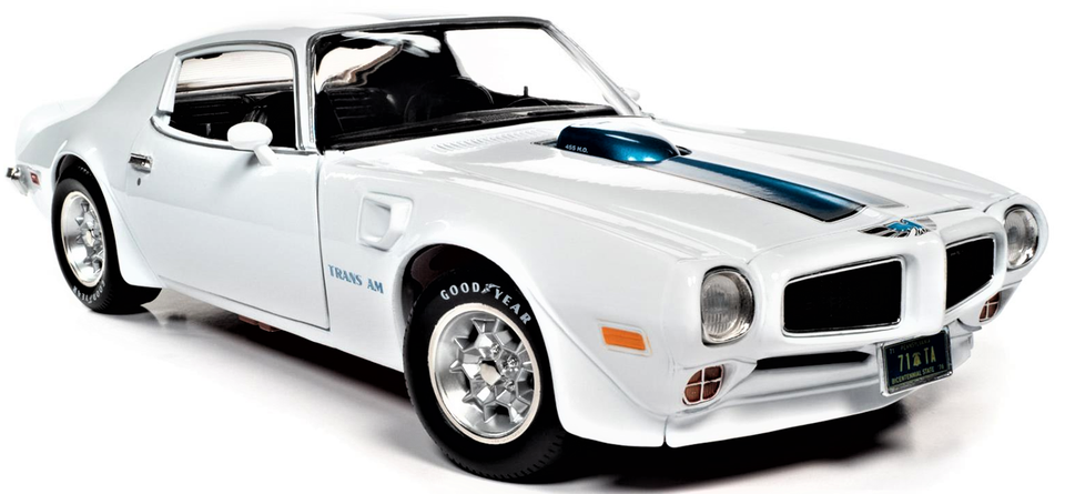 1 Pontiac Firebird Trans Am Race Car 12 Custom Built Model 18Racing1967 ...